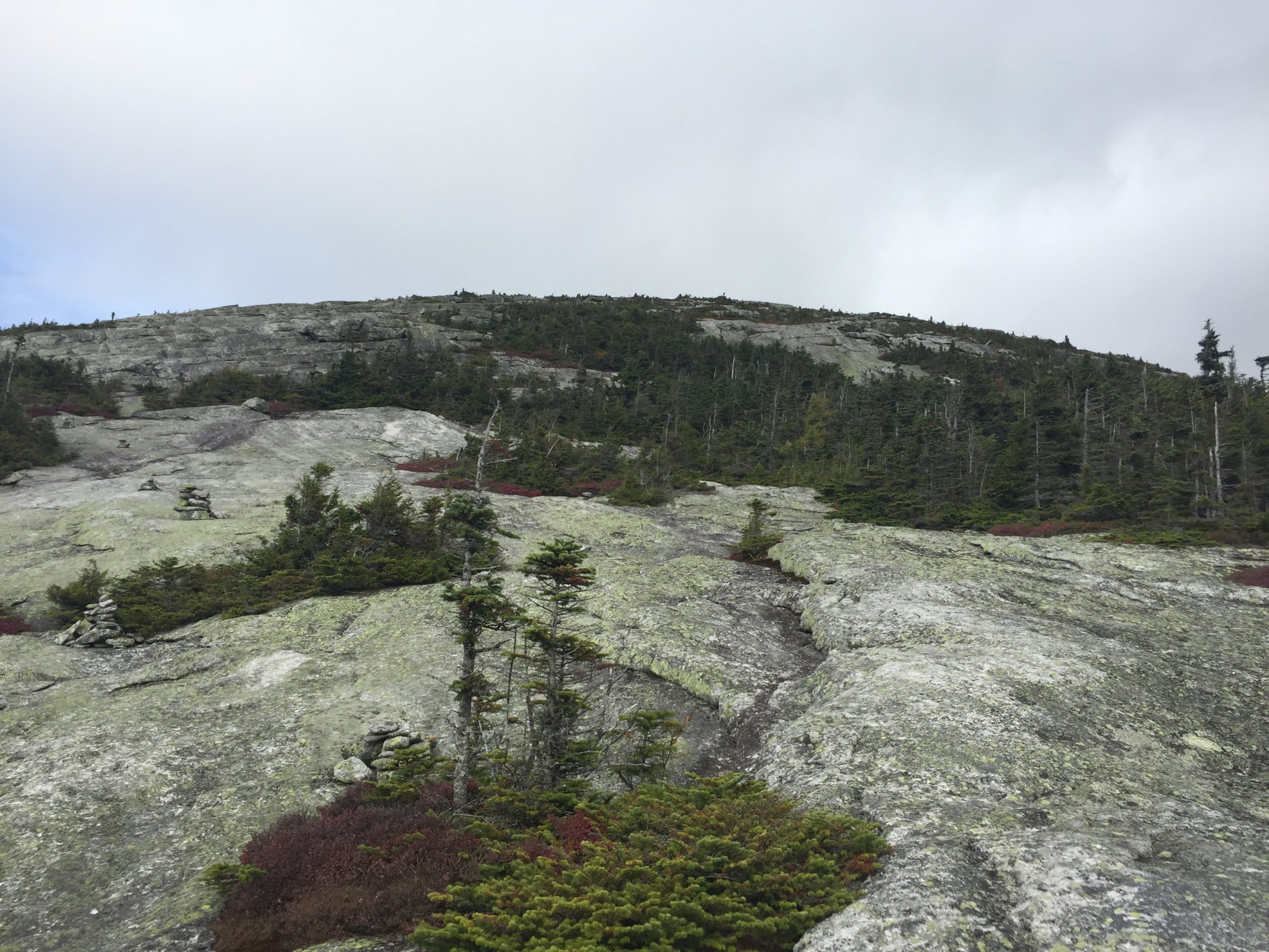 Grafton Loop Trail - Backpacking Routes